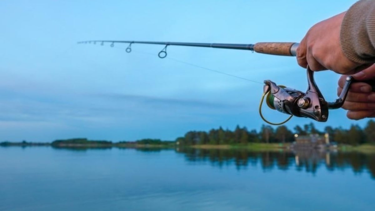 The Best Reels for Fishing: A Comprehensive Guide