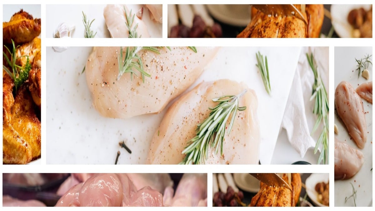 Chicken Meat: Balancing its Nutritive Properties and Contraindications